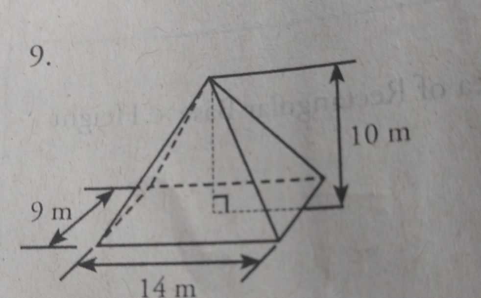 The image shows a pyramid with the following | StudyX