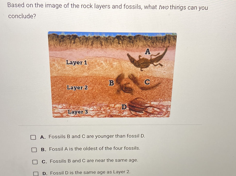 Based on the image of the rock layers and