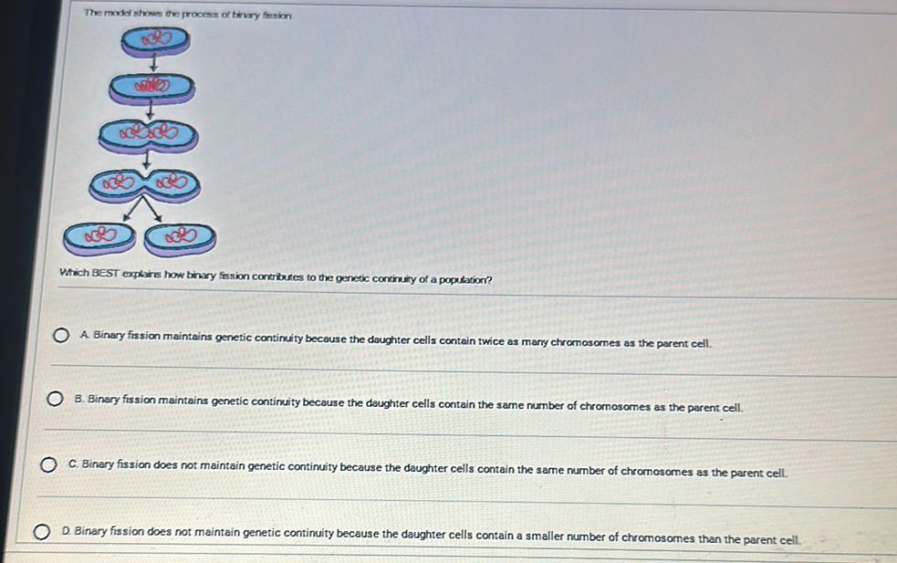 The model shows the process of binary | StudyX