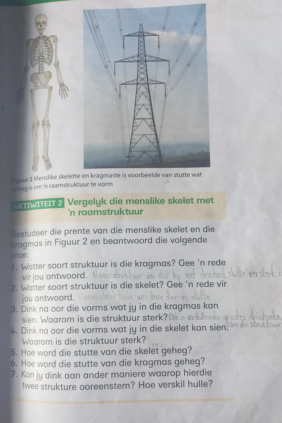 Figuur 2 Menslike skelette en kragmaste is | StudyX