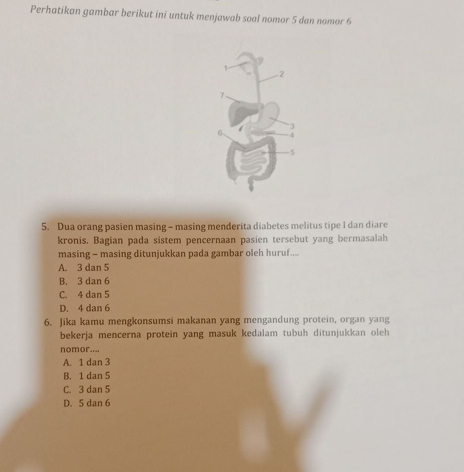 Perhatikan gambar berikut ini untuk menjawab | StudyX