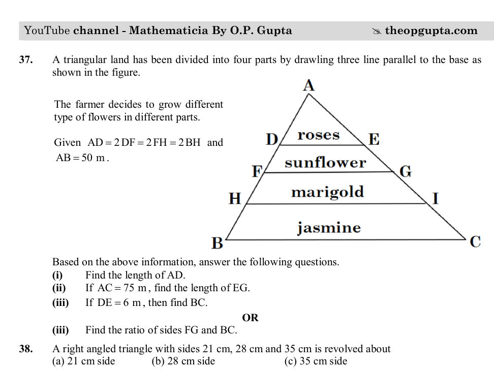 37. A triangular land has been divided into | StudyX