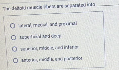 The deltoid muscle fibers are separated into | StudyX