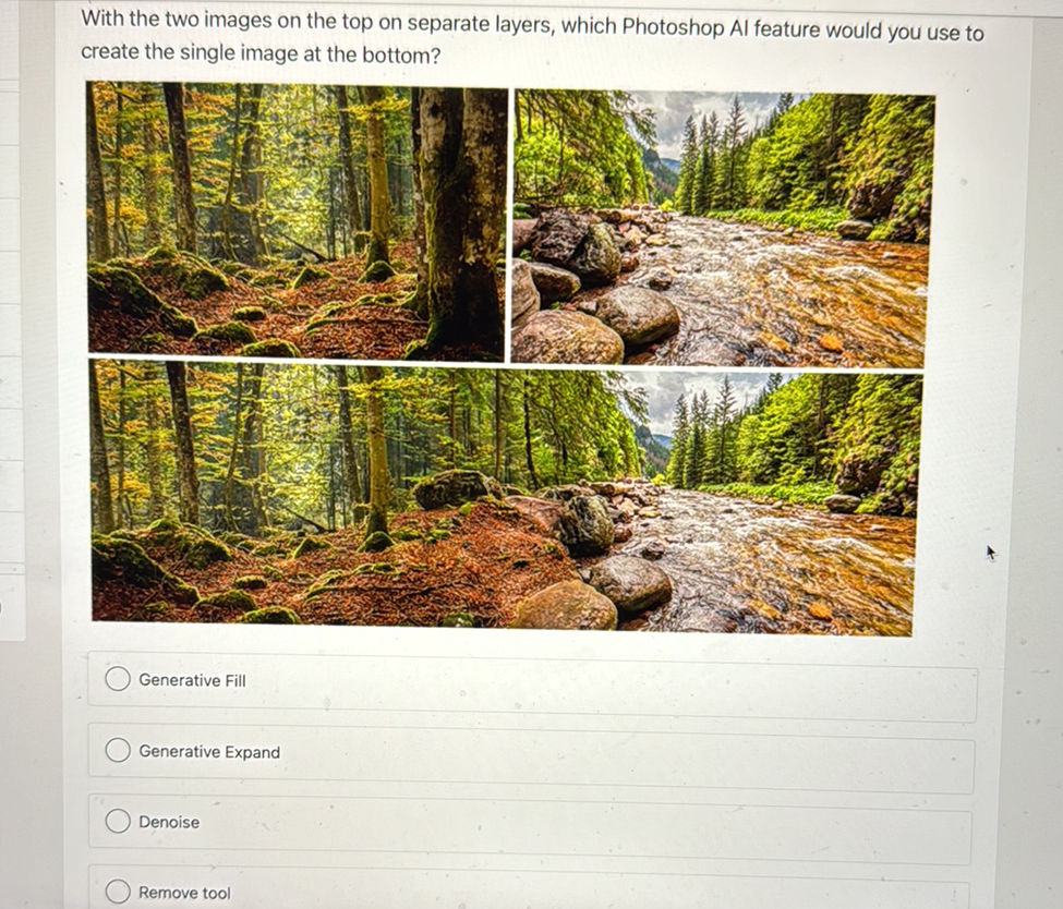 With the two images on the top on separate | StudyX