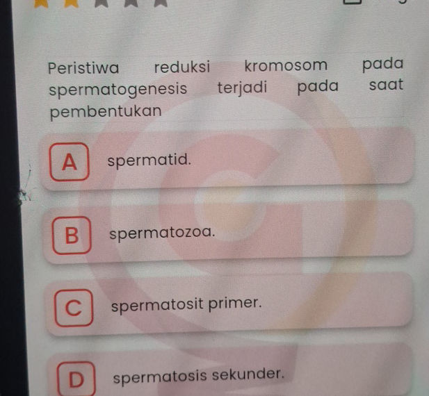 Peristiwa reduksi kromosom pada | StudyX