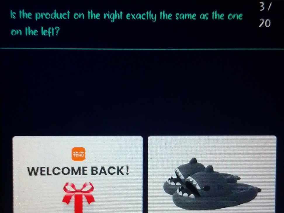 Is the product on the right exactly the same