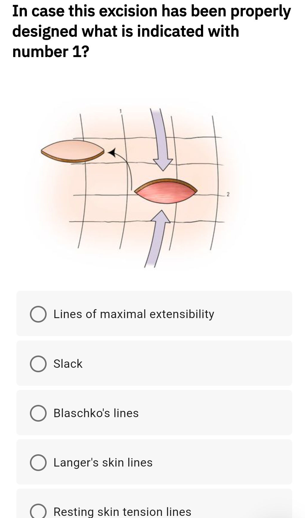 In case this excision has been properly | StudyX