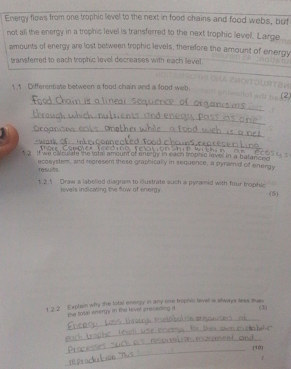 1.1 Differentiate between a food chain and a | StudyX
