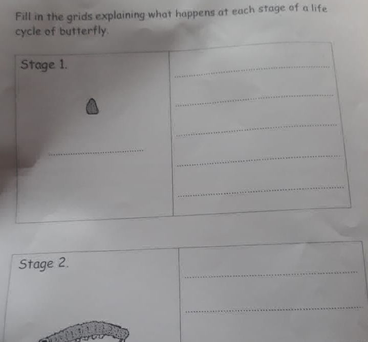 Fill in the grids explaining what happens at | StudyX