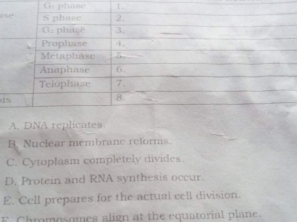 Match the phases of the cell cycle with | StudyX