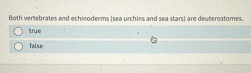 Both vertebrates and echinoderms (sea | StudyX