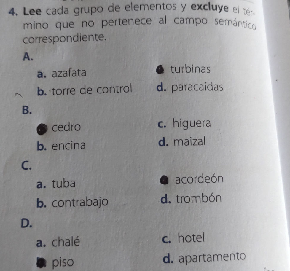4. Lee cada grupo de elementos y excluye el | StudyX