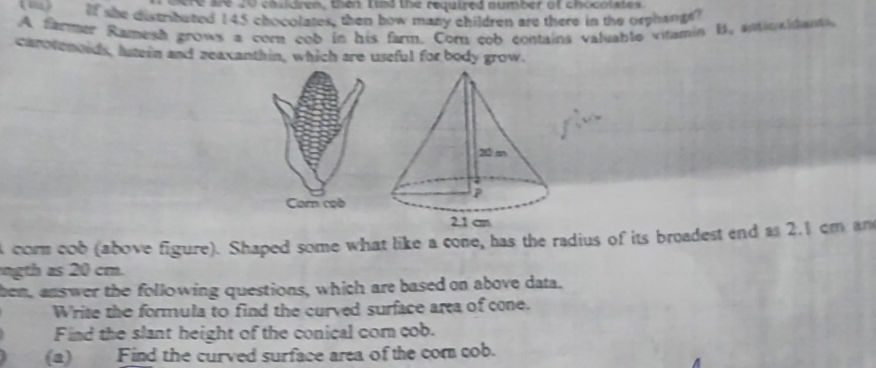 A corn cob (above figure). Shaped some what | StudyX