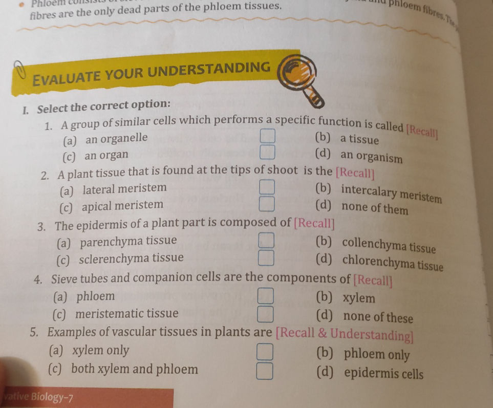 I. Select the correct option: 1. A group of | StudyX