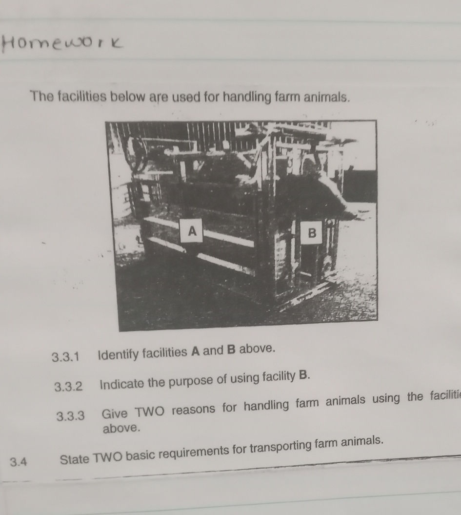 The facilities below are used for handling | StudyX