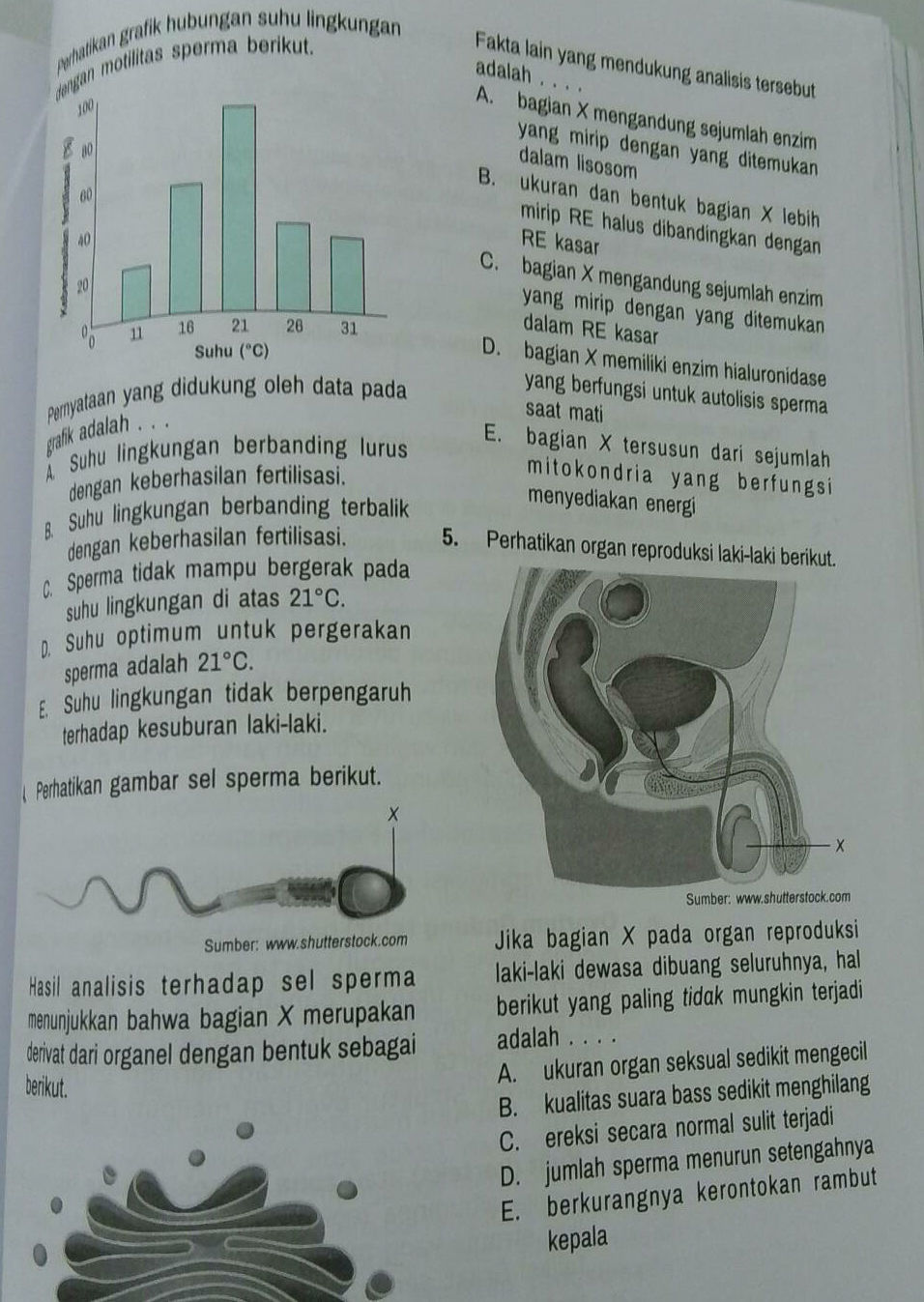Perhatikan grafik hubungan suhu lingkungan | StudyX
