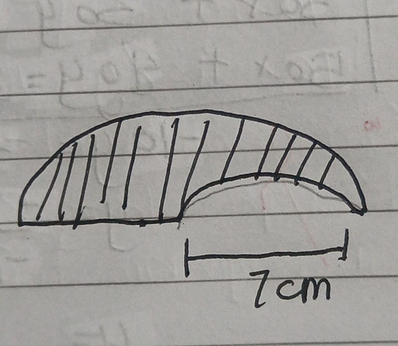 The image shows a shaded shape. The length | StudyX