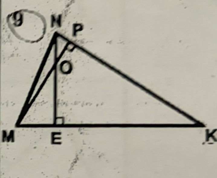 The image contains a diagram of a triangle | StudyX