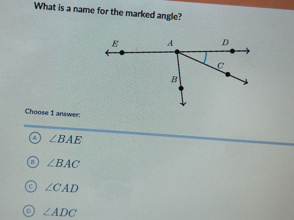 What is a name for the marked angle? Choose | StudyX
