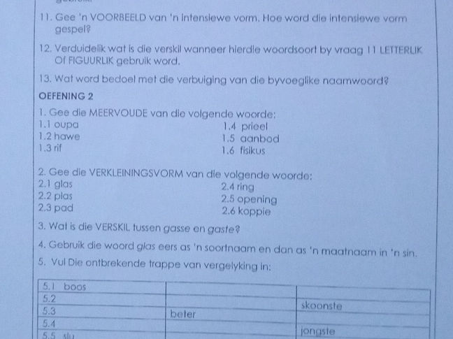 11. Gee 'n VOORBEELD van 'n intensiewe vorm. | StudyX