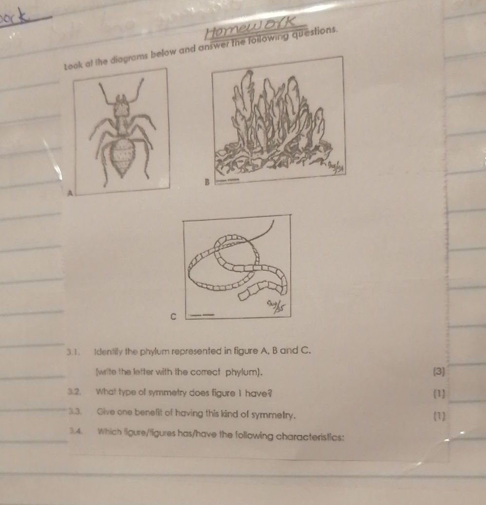 Look at the diagrams below and answer the | StudyX