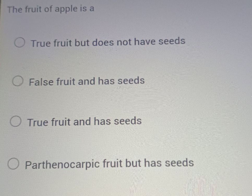 The fruit of apple is a True fruit but does | StudyX