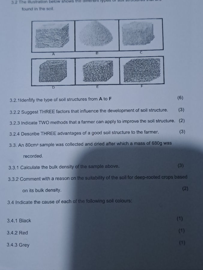 3.2 The illustration below shows the | StudyX