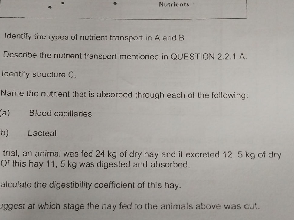 Identify the types of nutrient transport in | StudyX