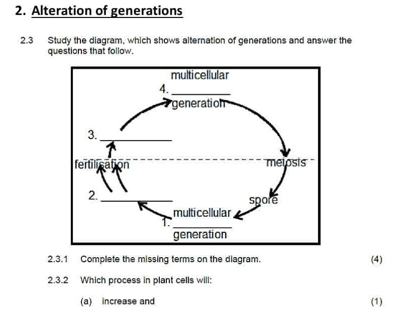 2. Alteration of generations 2.3 Study the | StudyX