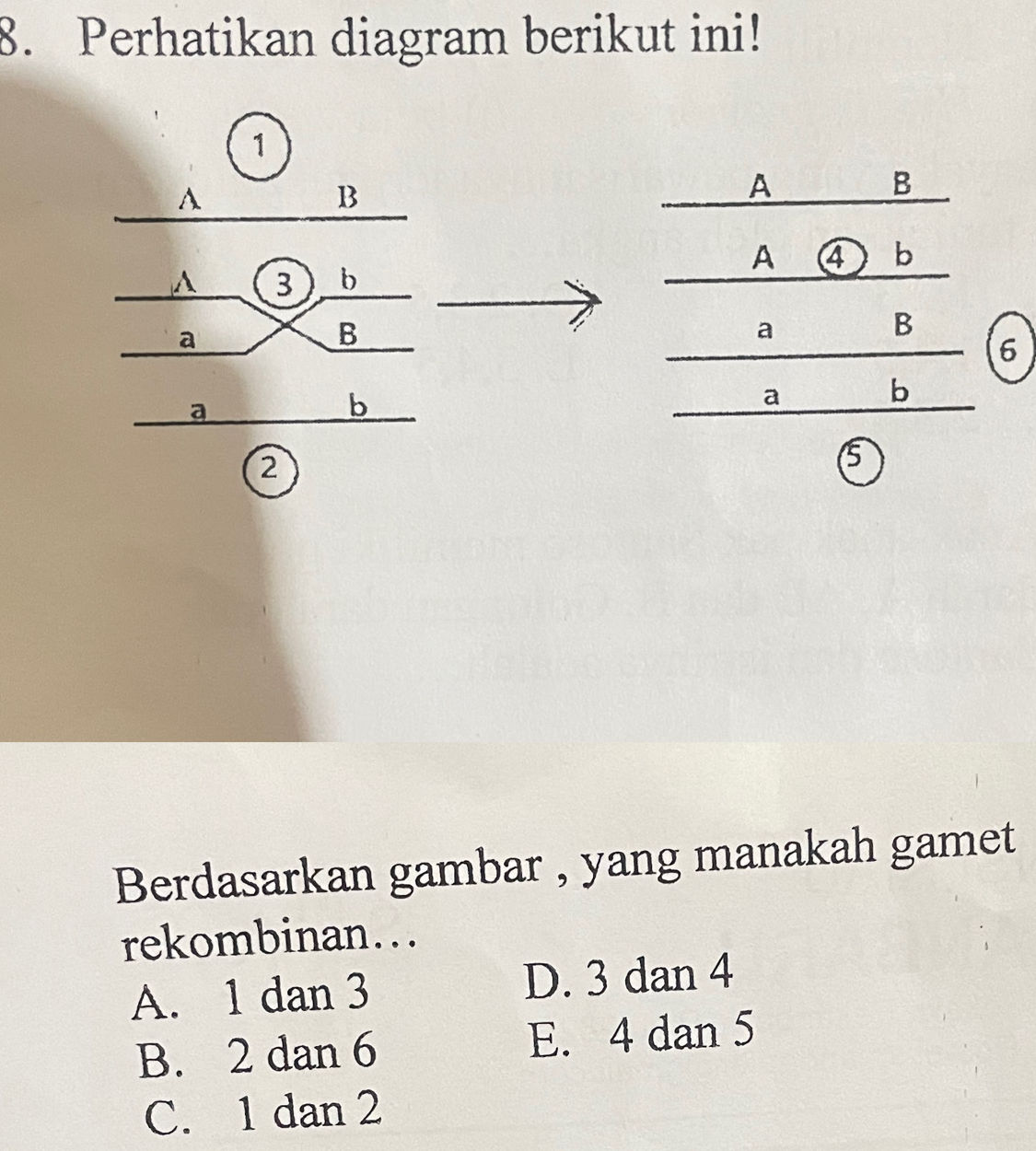 Perhatikan diagram berikut ini! Diagram | StudyX