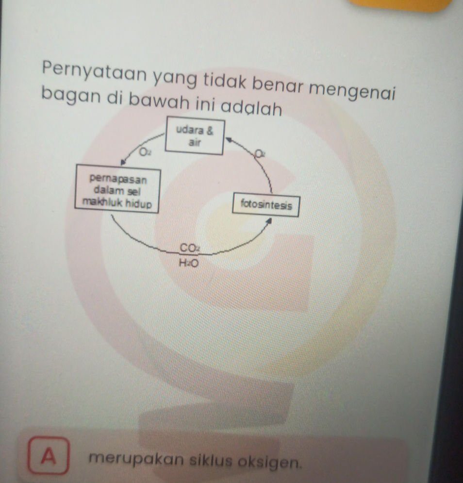 Pernyataan yang tidak benar mengenai bagan | StudyX