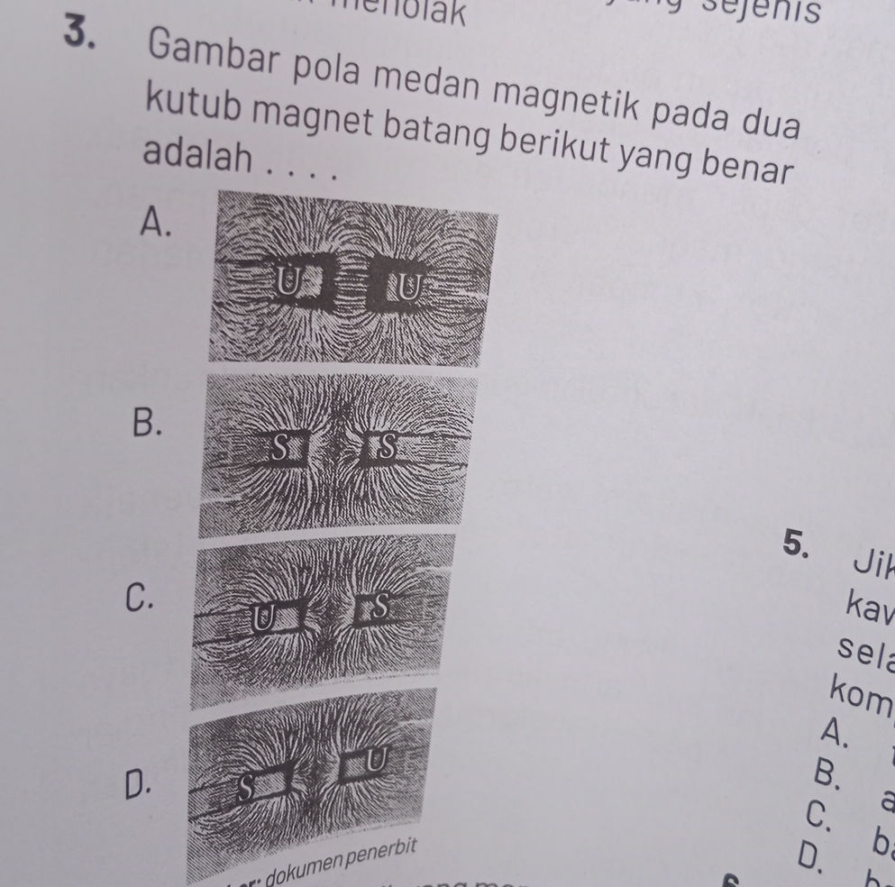 3. Gambar pola medan magnetik pada dua kutub | StudyX