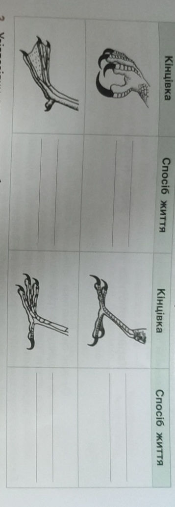 The image shows different types of bird feet | StudyX