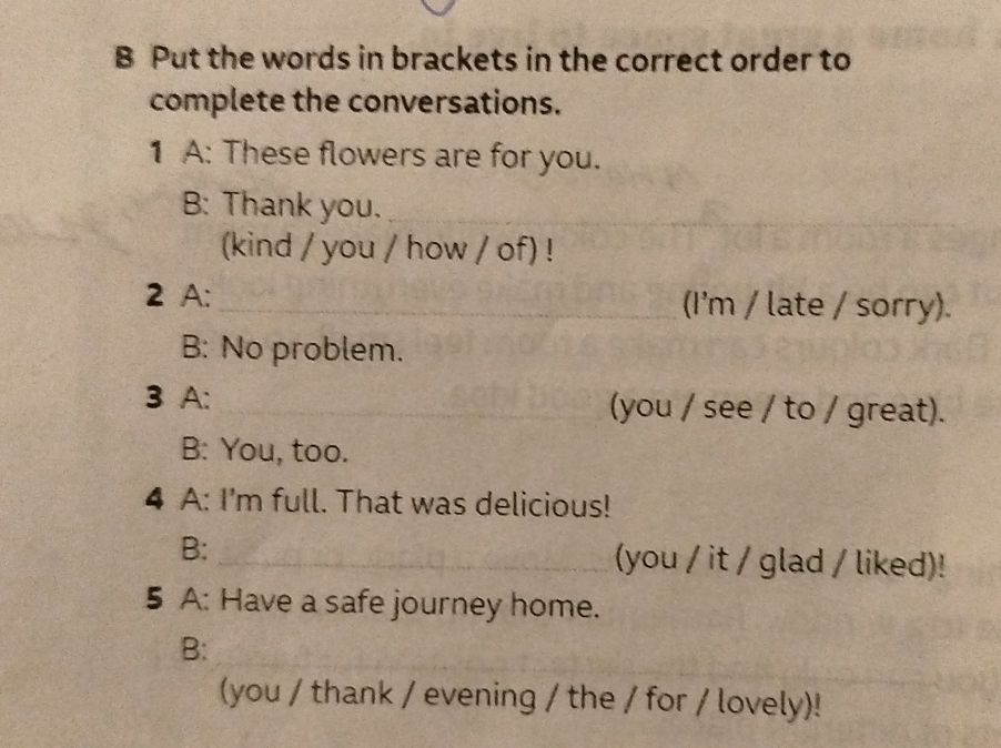 B Put the words in brackets in the correct | StudyX