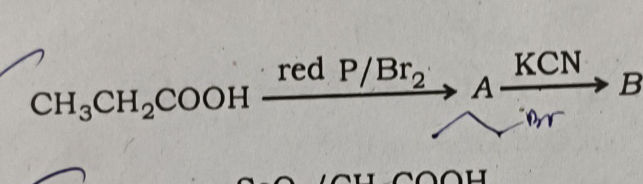 $ {CH}_3 {CH}_2 {COOH} { {red P}/ {Br}_2} A | StudyX