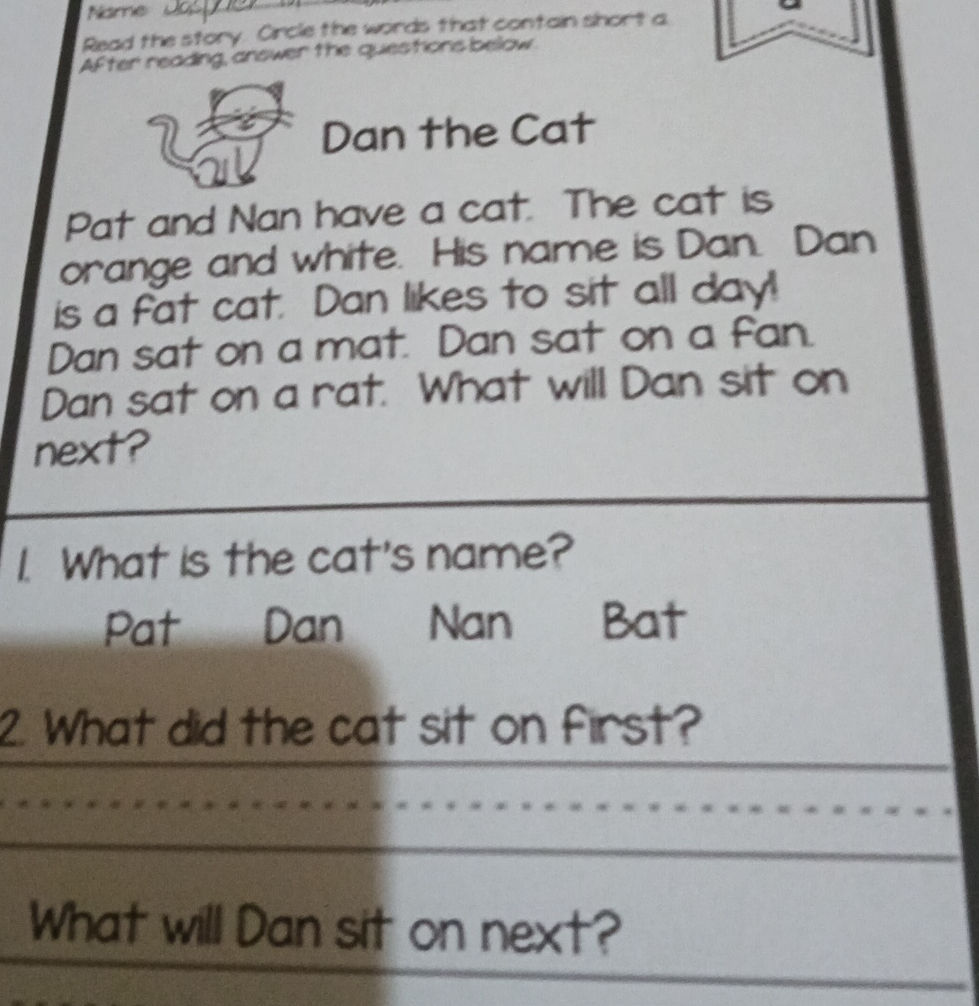 Dan the Cat Pat and Nan have a cat. The cat | StudyX