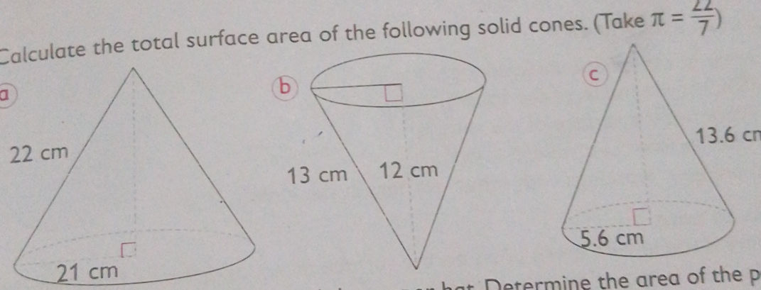 Calculate the total surface area of the | StudyX