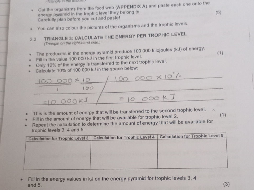 3.3 TRIANGLE 3: CALCULATE THE ENERGY PER | StudyX