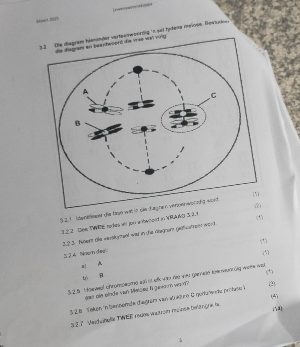 3.2 Die diagram hieronder verteenwoordig 'n | StudyX