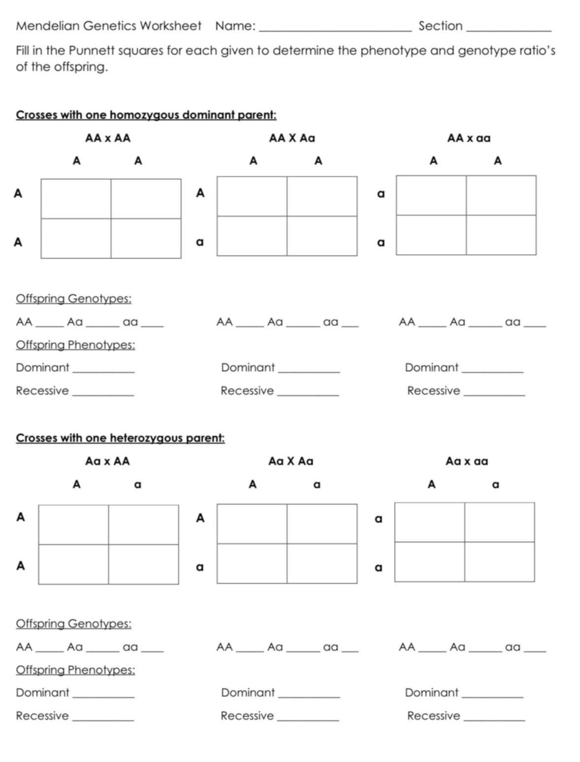 Fill in the Punnett squares for each given | StudyX
