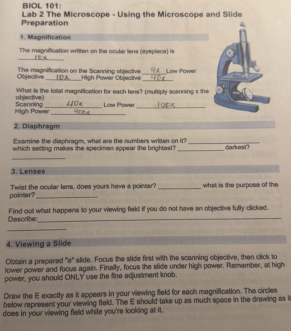 1. Magnification The magnification written | StudyX