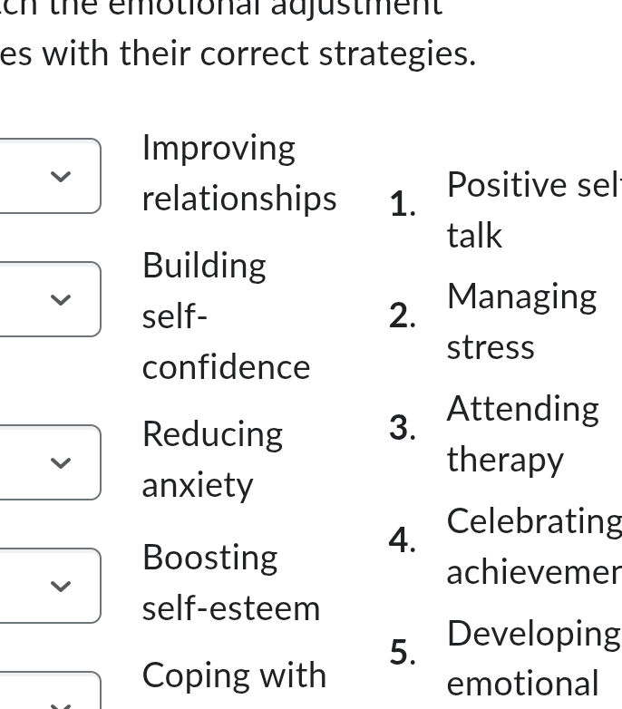 Match the emotional adjustment strategies | StudyX