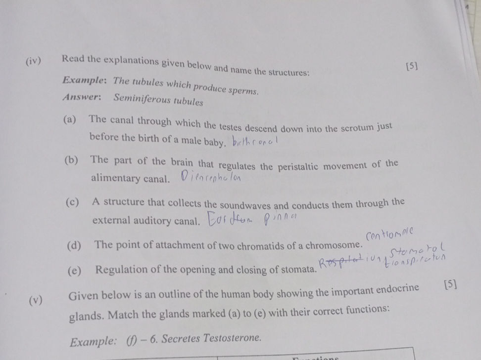 (iv) Read the explanations given below and | StudyX