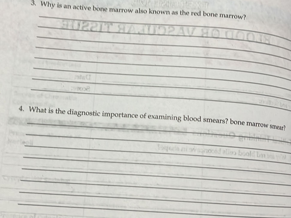 3. Why is an active bone marrow also known | StudyX