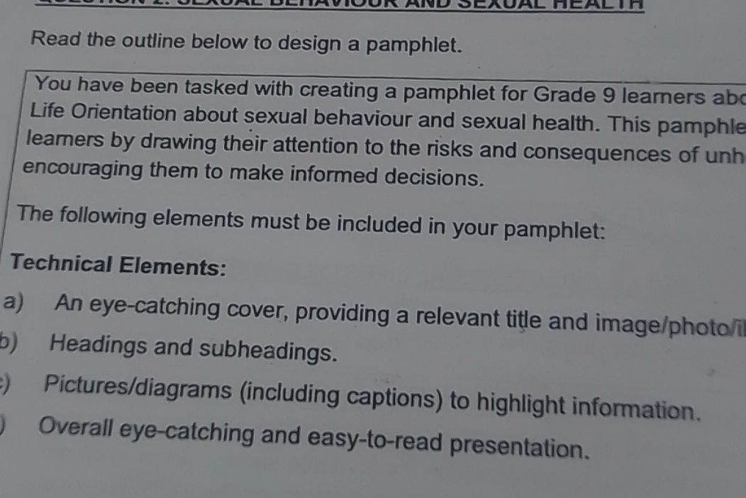 Read the outline below to design a pamphlet. | StudyX
