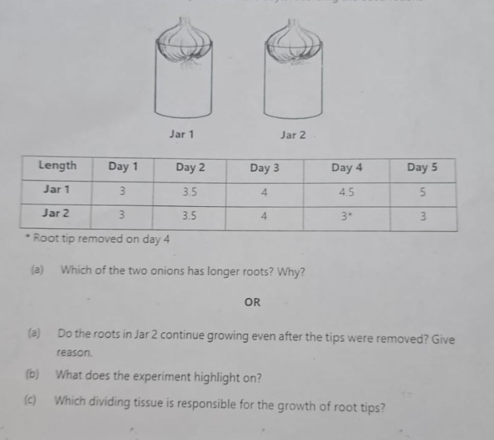 The following table shows the root length of | StudyX