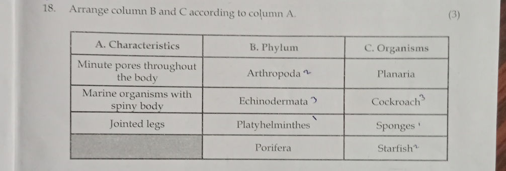 18. Arrange column B and C according to | StudyX