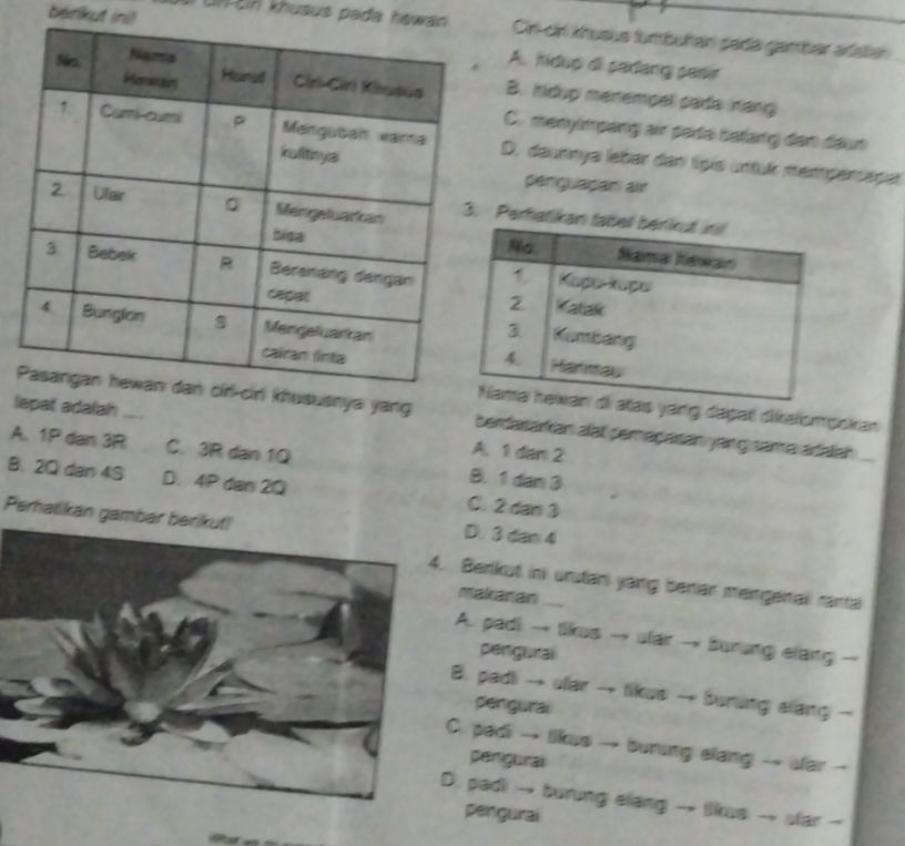 1. Perhatikan tabel berikut ini: | No. | | StudyX