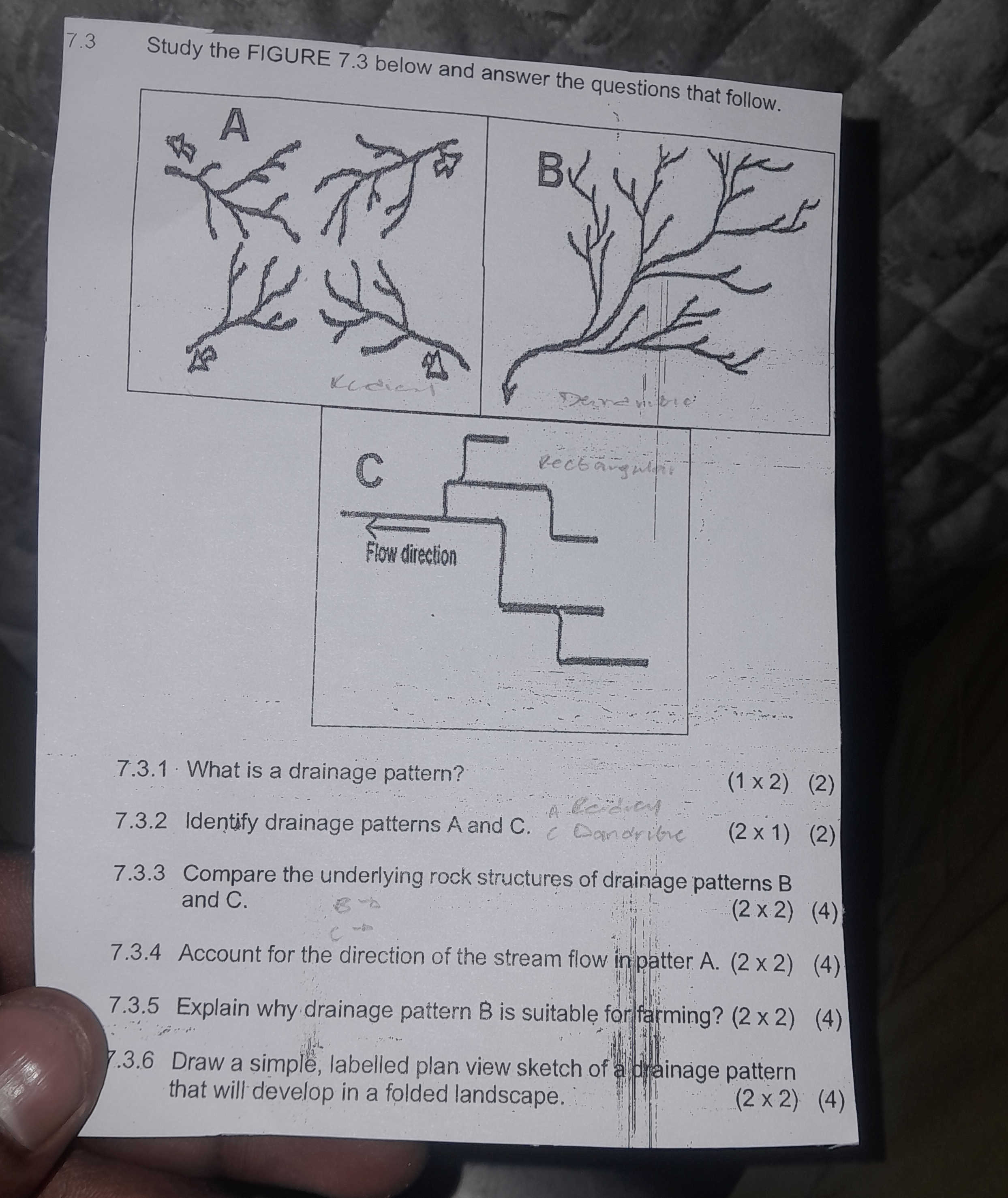 7.3 Study the FIGURE 7.3 below and answer | StudyX