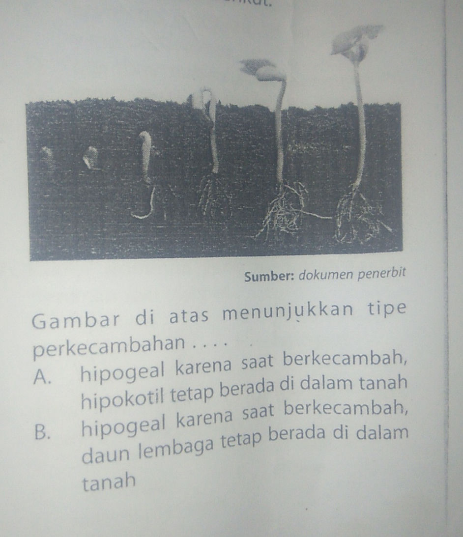 Gambar di atas menunjukkan tipe | StudyX